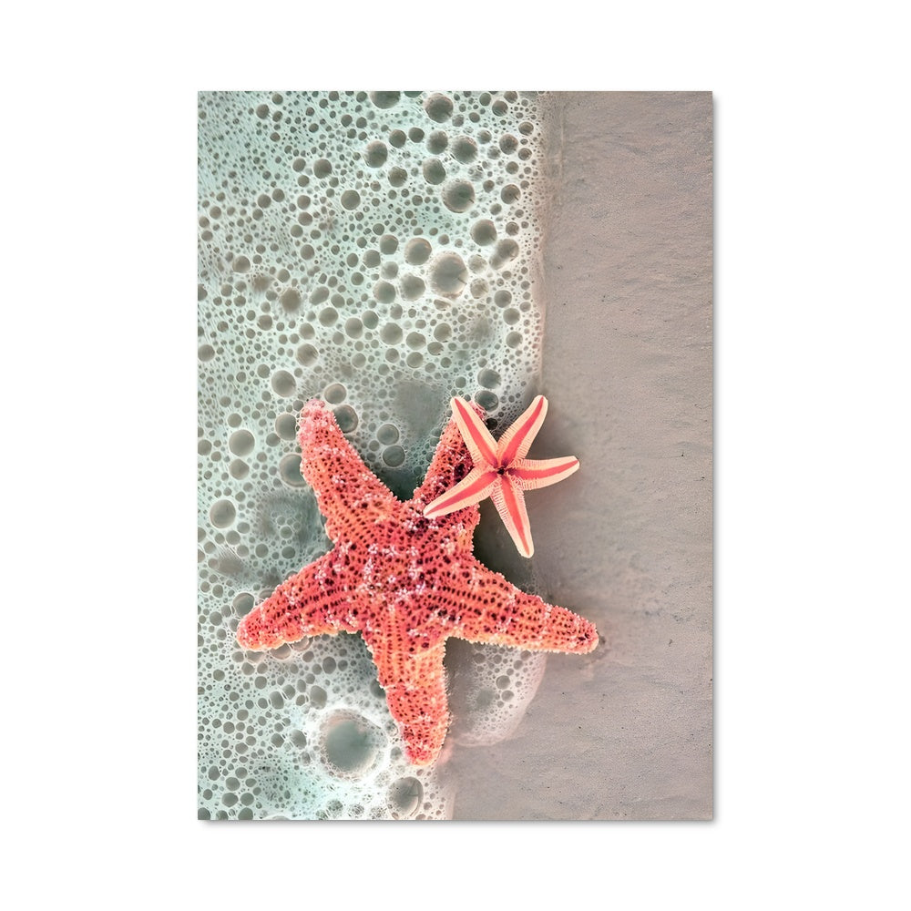 Starfish Poster – Aesthetic Posters