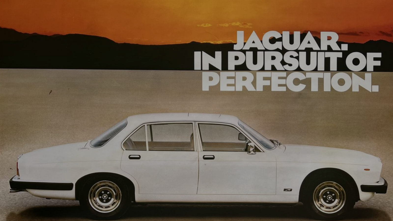 Jaguar Posters | Aesthetic Posters