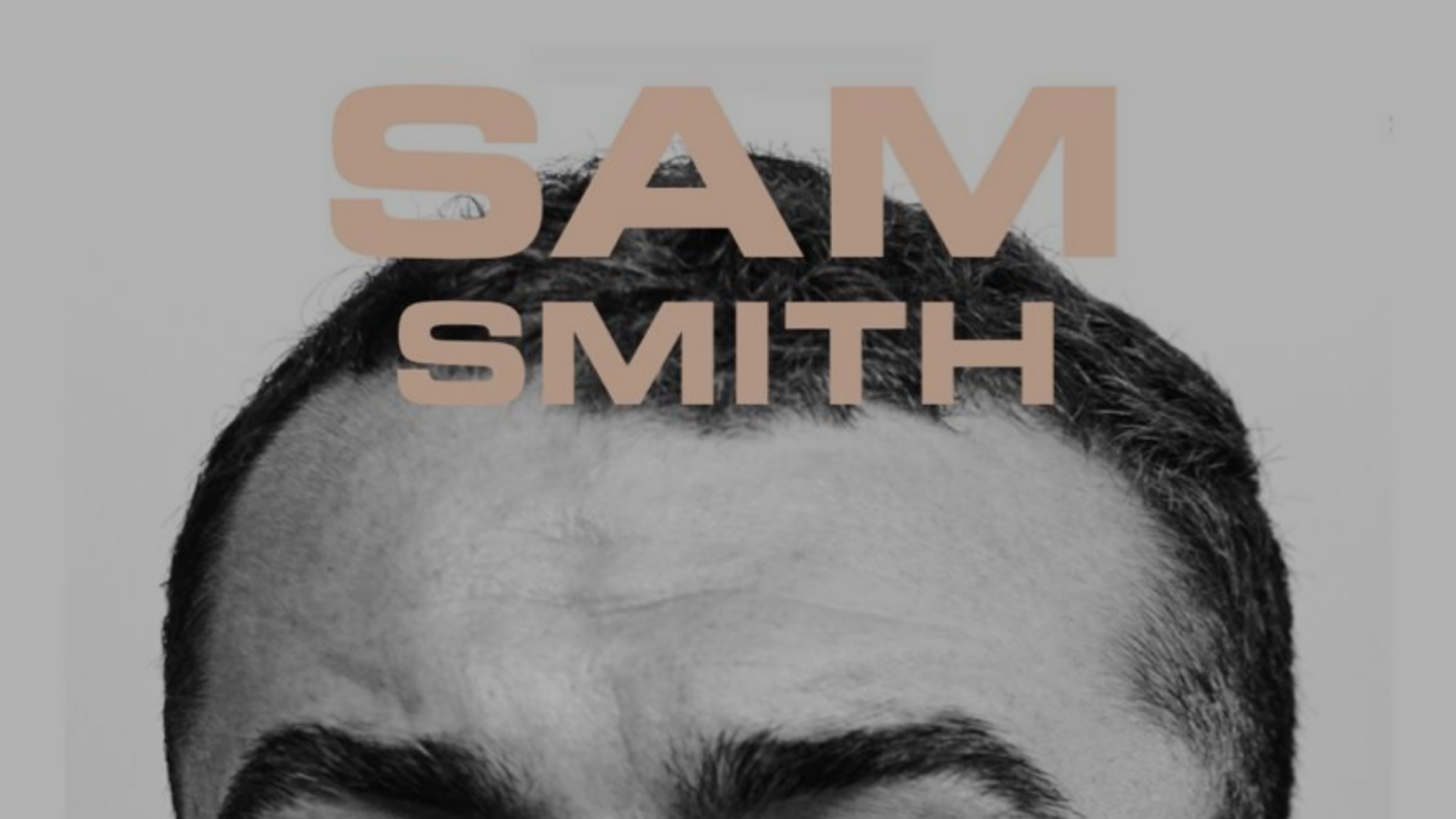 Sam Smith Posters | Aesthetic Posters