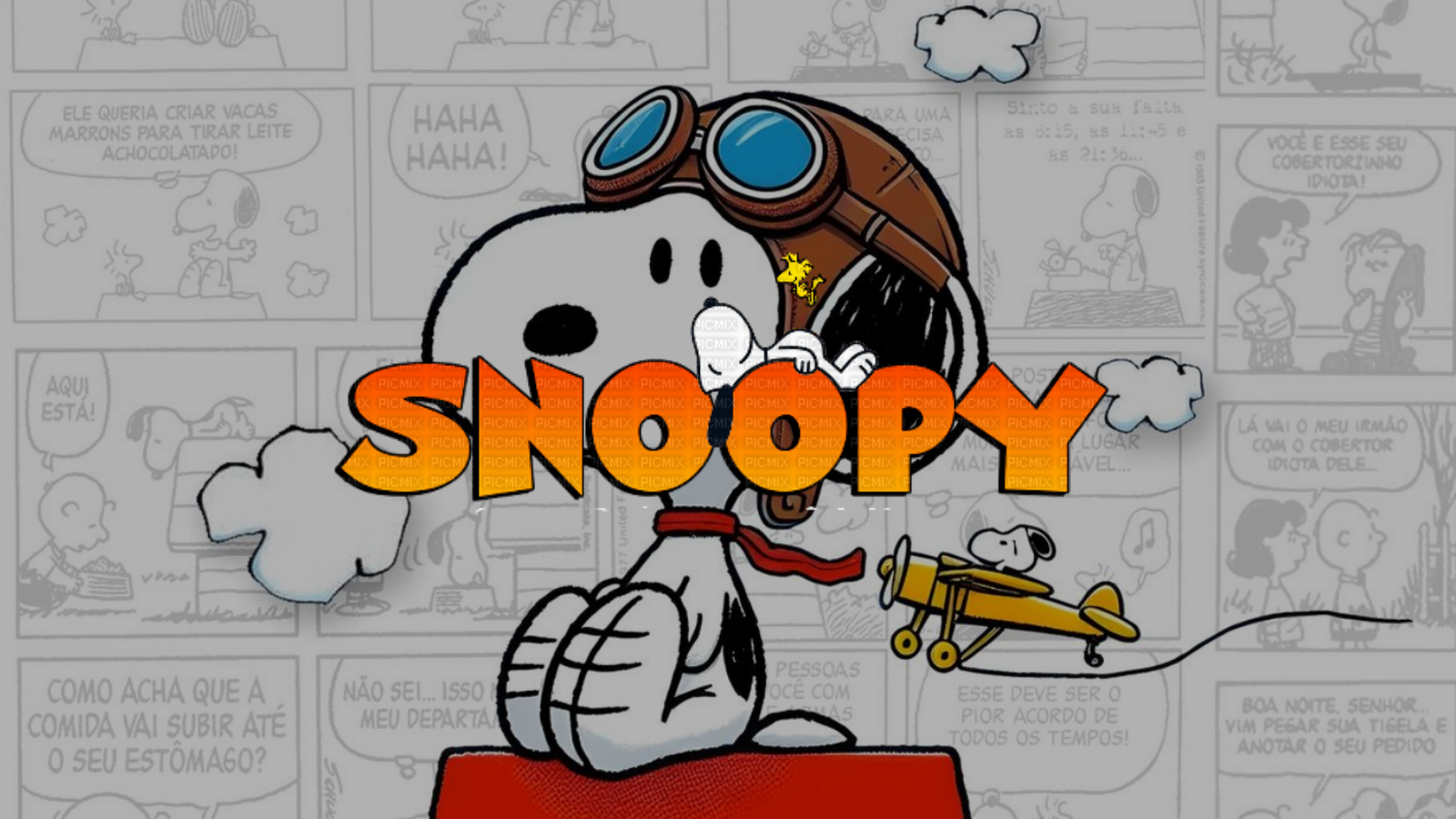 Snoopy Posters | Aesthetic Posters