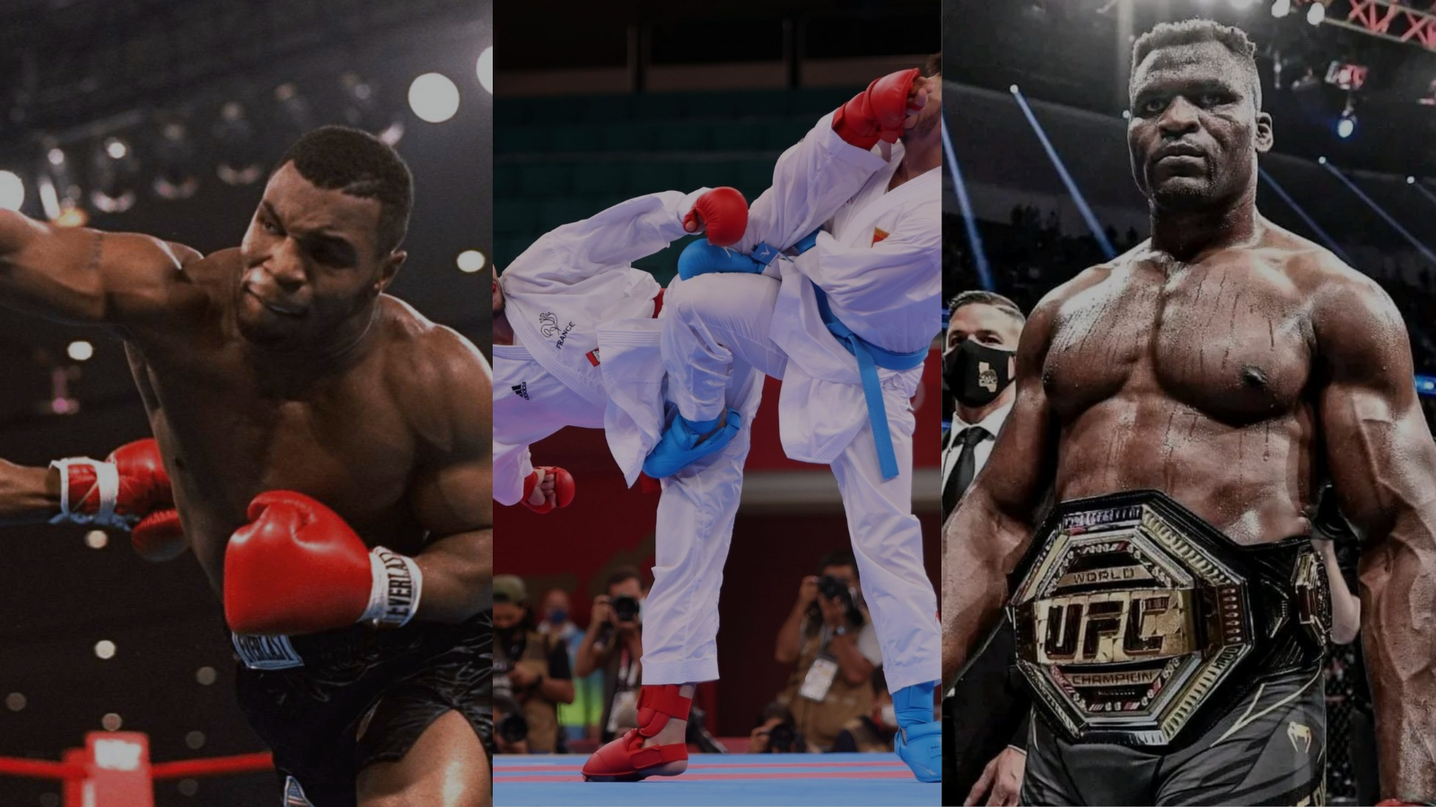 Combat Sports Posters | Aesthetic Posters