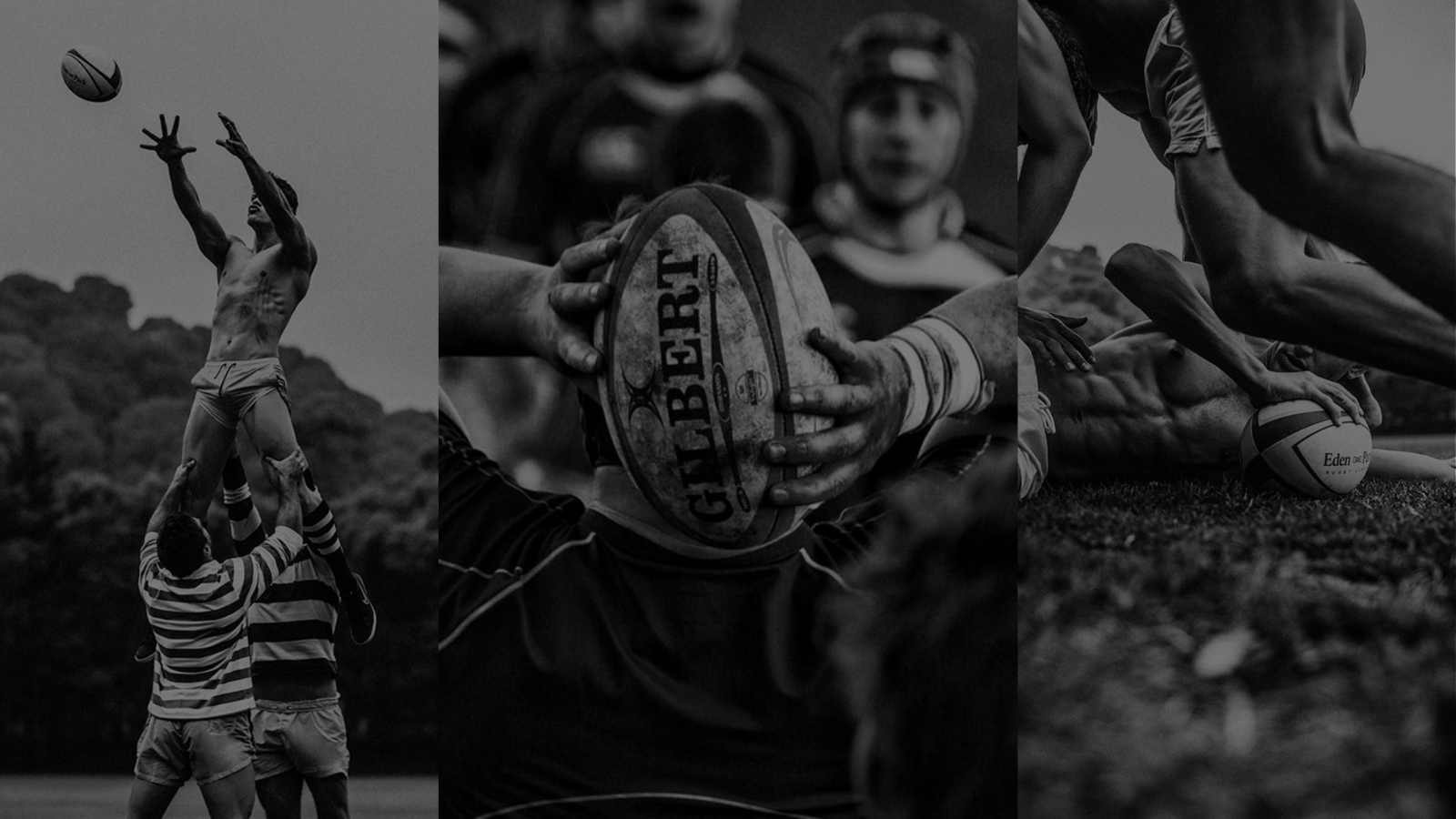 Rugby Posters – Aesthetic Posters