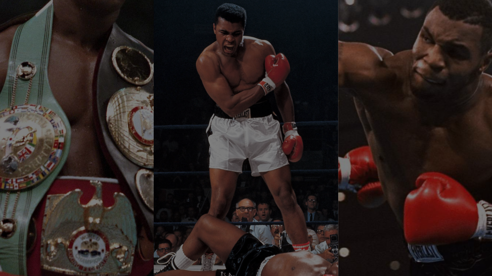 Boxing Posters | Aesthetic Posters