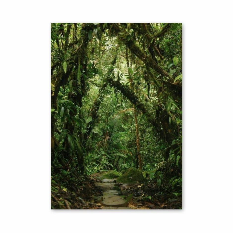 Amazon Rainforest Posters | Aesthetic Posters