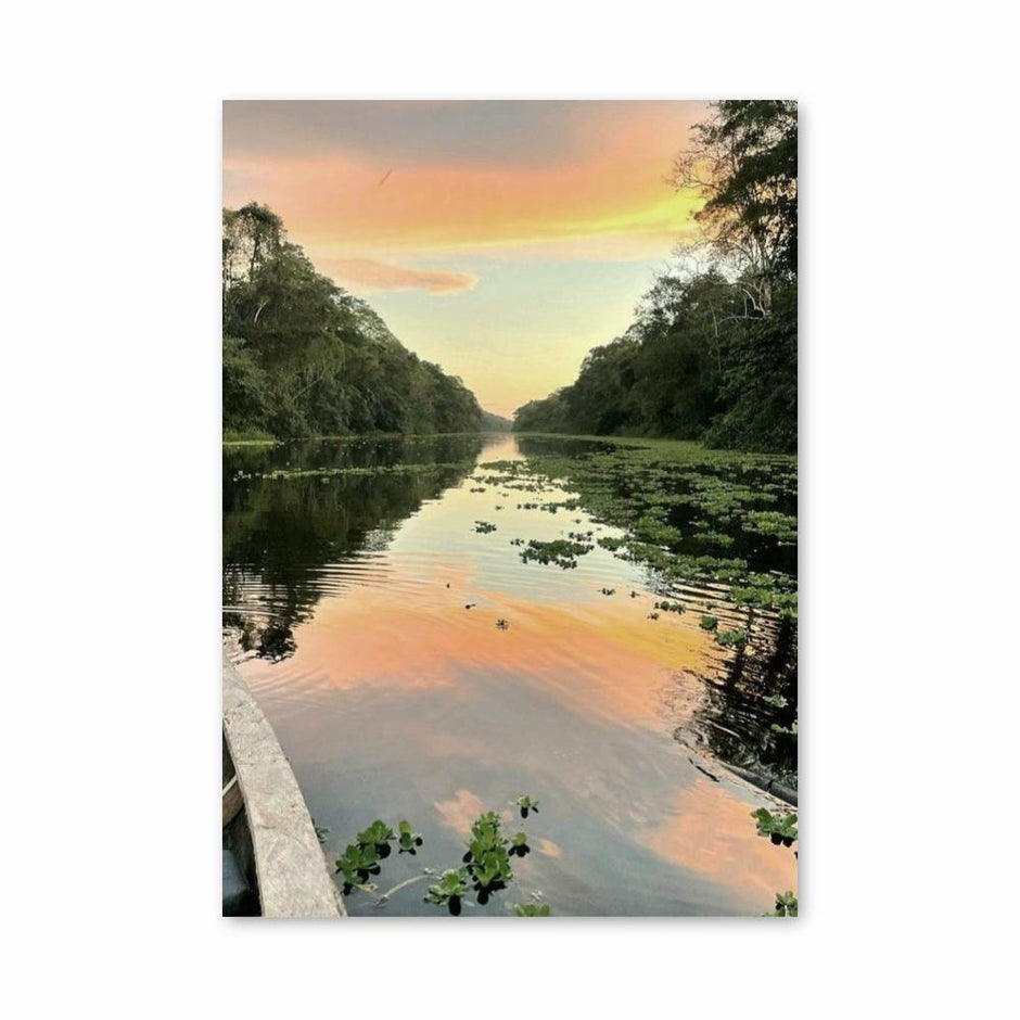 Amazon Rainforest Posters | Aesthetic Posters