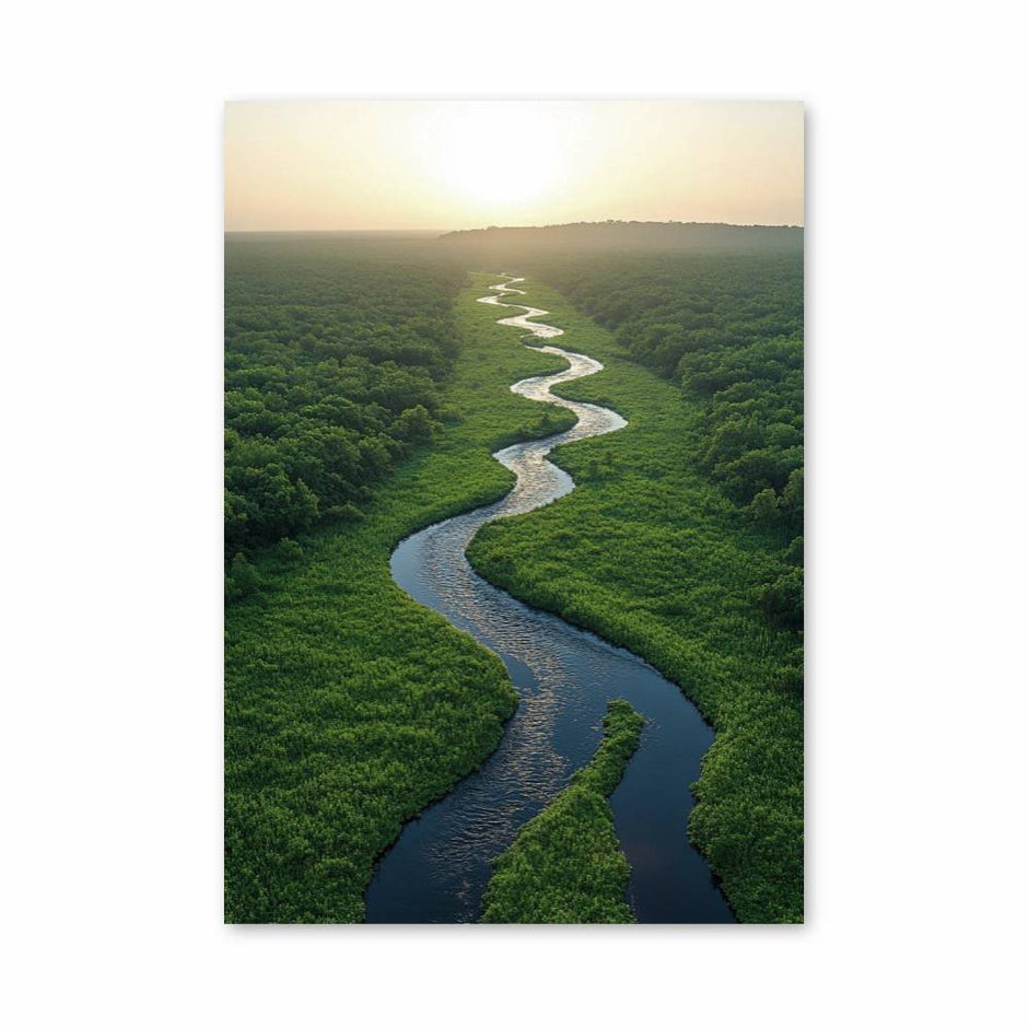 Amazon Rainforest Posters | Aesthetic Posters