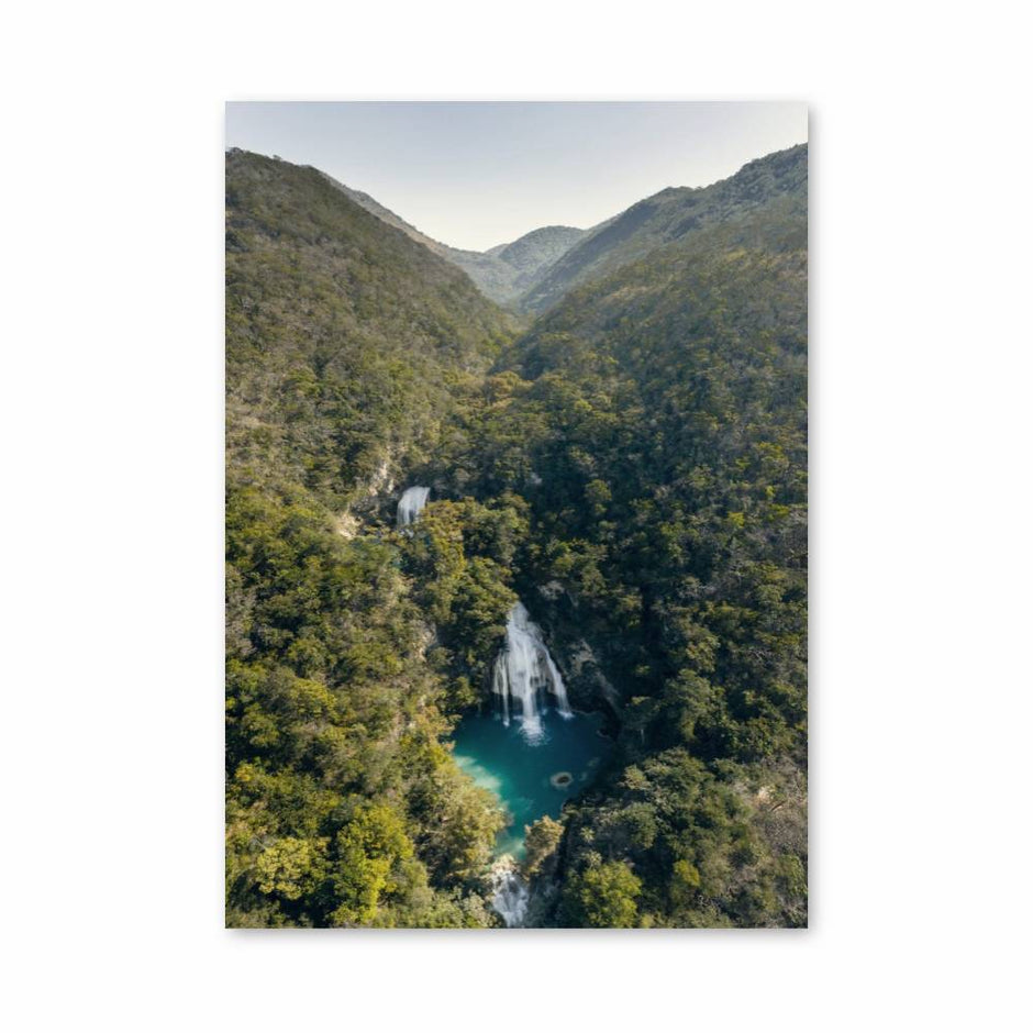 Amazon Rainforest Posters | Aesthetic Posters