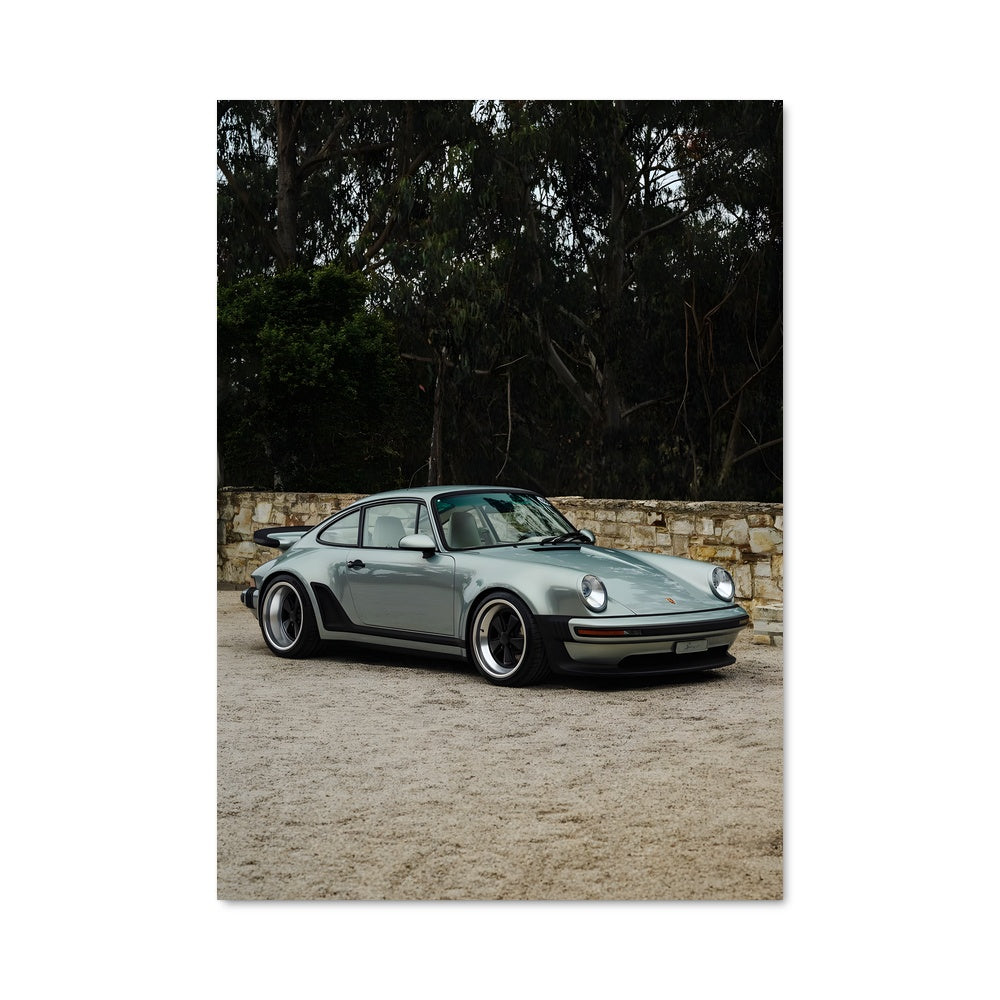 Turbo Verde Poster – Aesthetic Posters