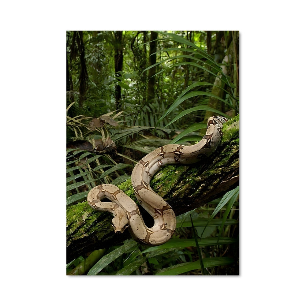 Mystic Python Poster – Aesthetic Posters