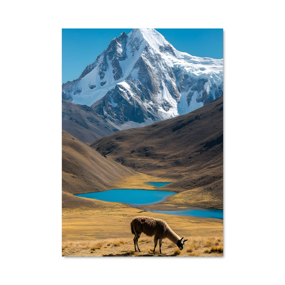 Majesty of the Andes Poster – Aesthetic Posters