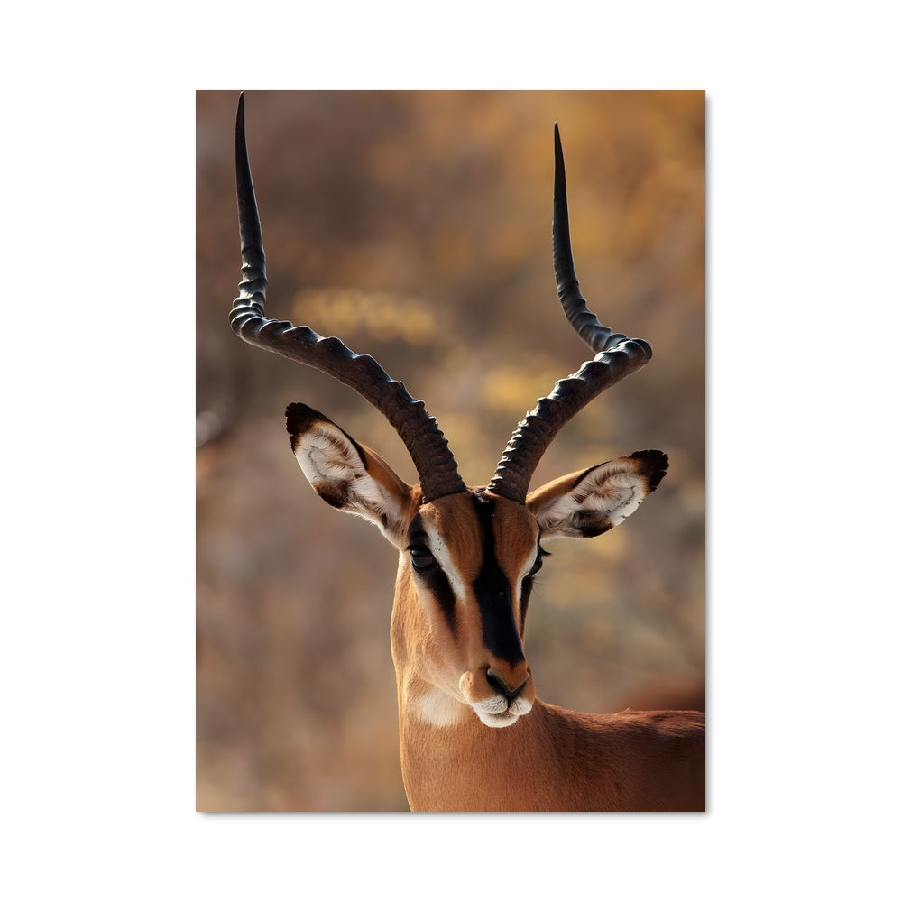 Majestic Antelope Poster – Aesthetic Posters