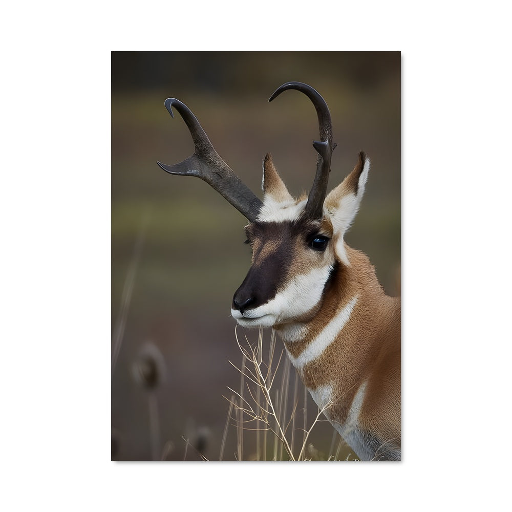 Enchanted Antelope Poster – Aesthetic Posters