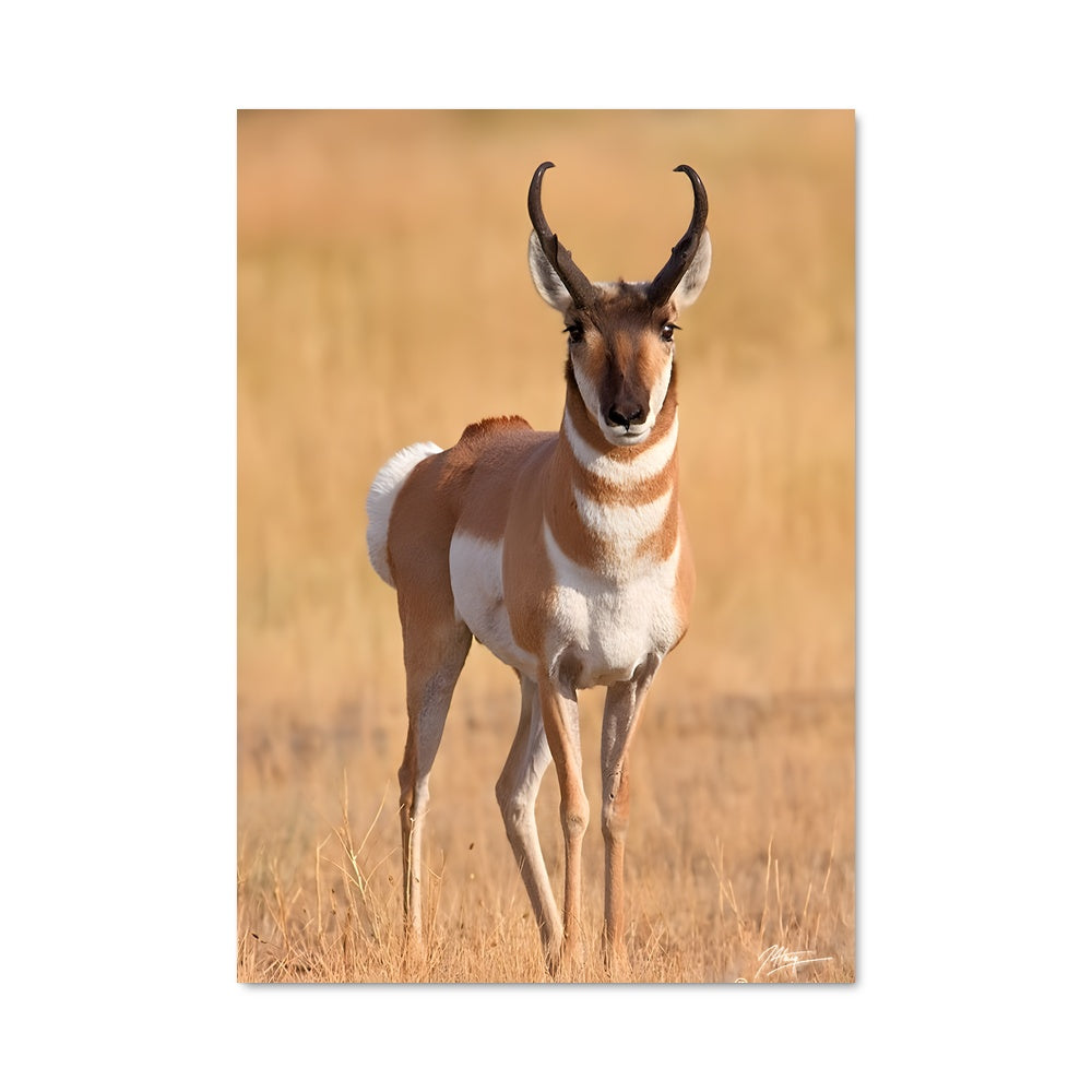 Antelope Dream Poster – Aesthetic Posters
