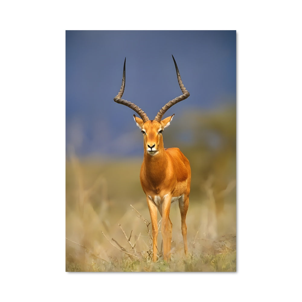 Gazelle in the Wild Poster – Aesthetic Posters