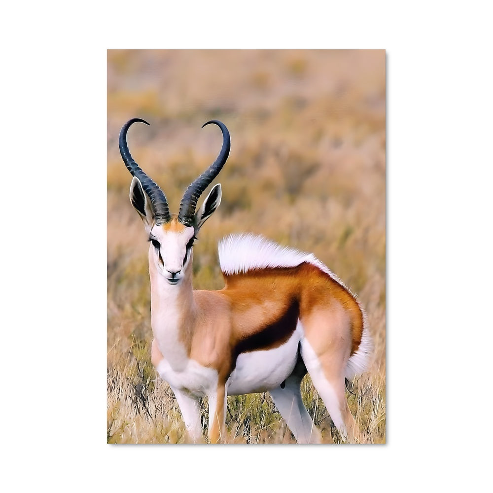 Antelope Dance Poster – Aesthetic Posters