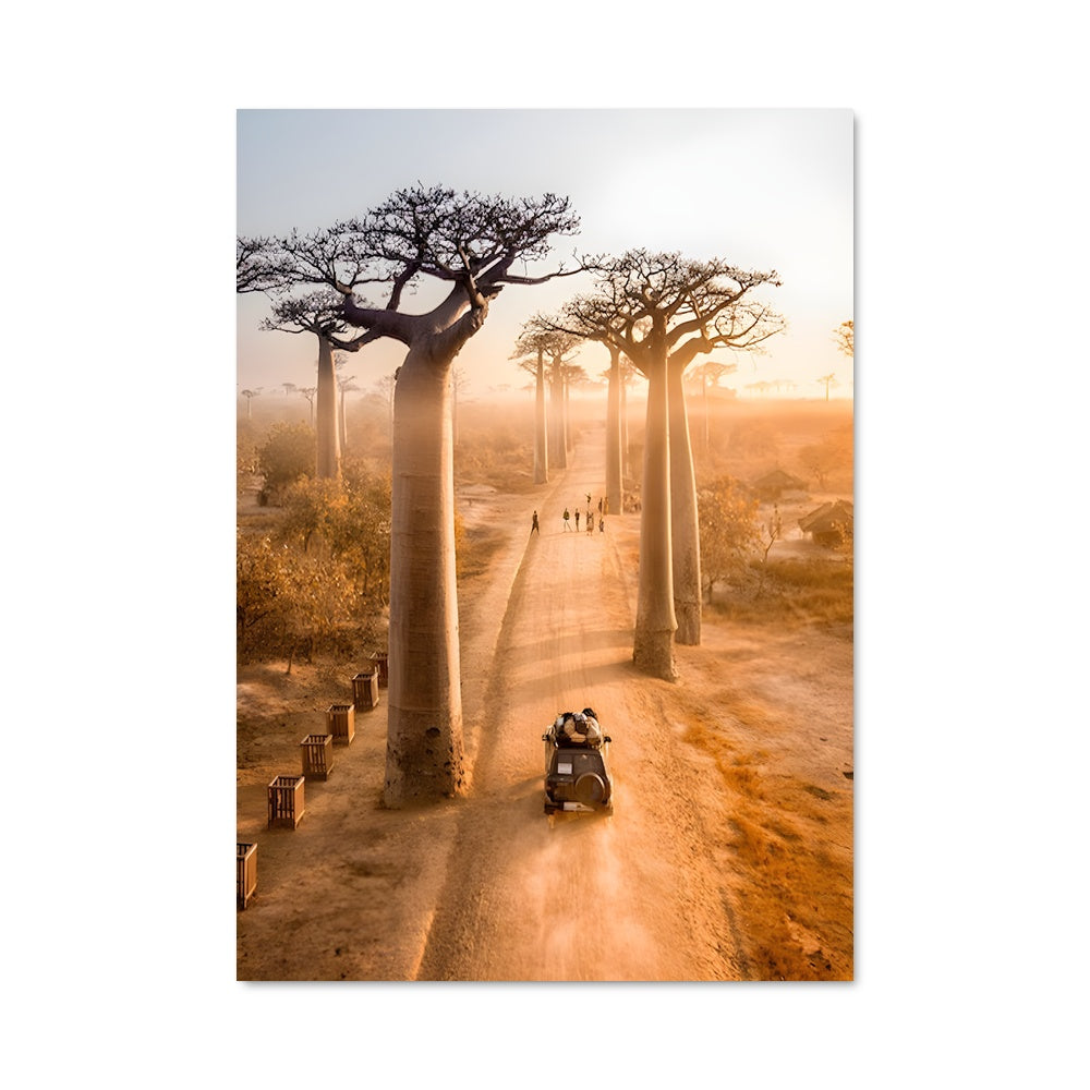 Baobab Promenade Poster – Aesthetic Posters