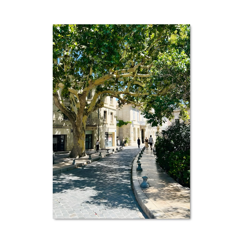 Poster The Street Tree – Aesthetic Posters