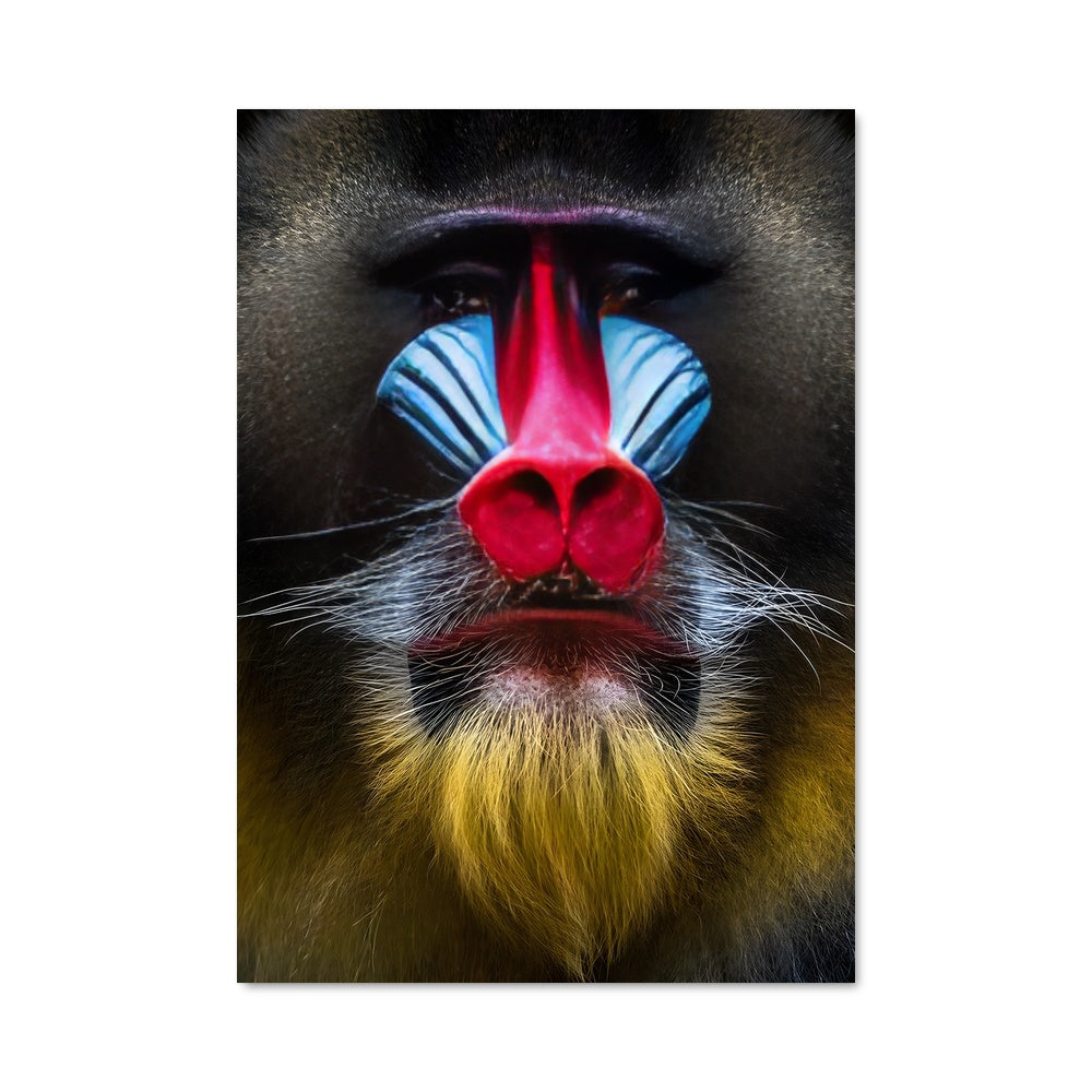 Mystic Mandrill Poster – Aesthetic Posters
