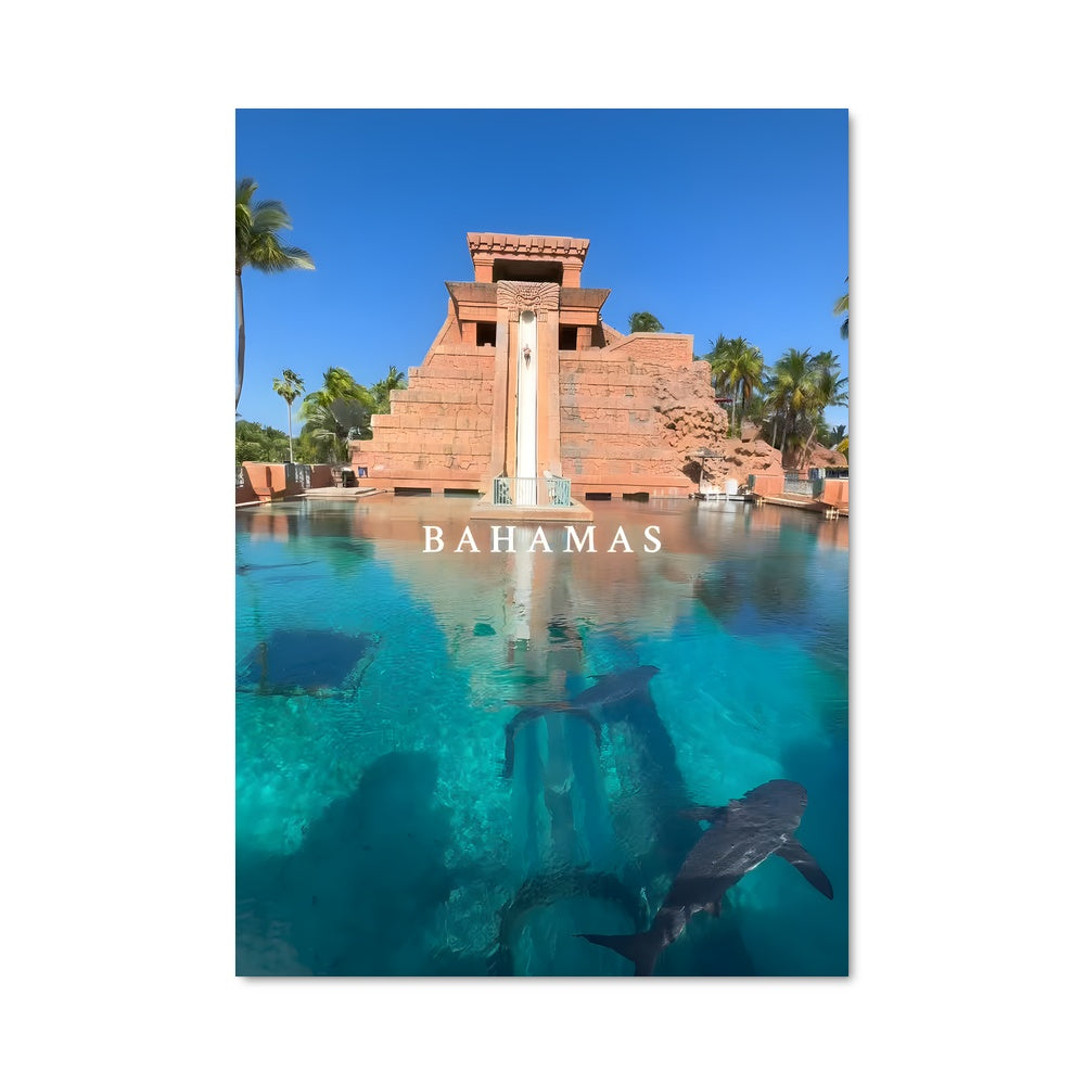 Bahamian Diving Poster – Aesthetic Posters