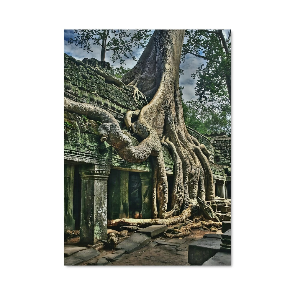 Roots of the Ruins Poster – Aesthetic Posters