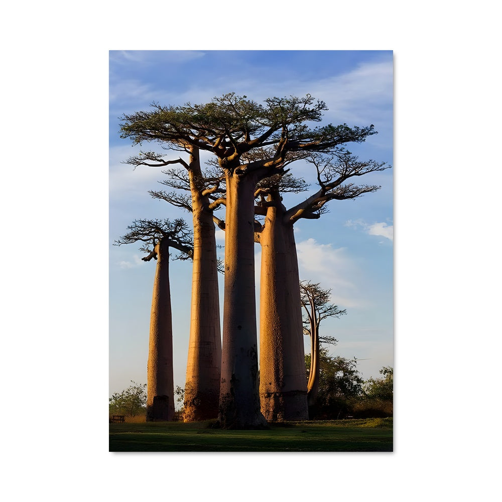 Eternal Baobab Poster – Aesthetic Posters