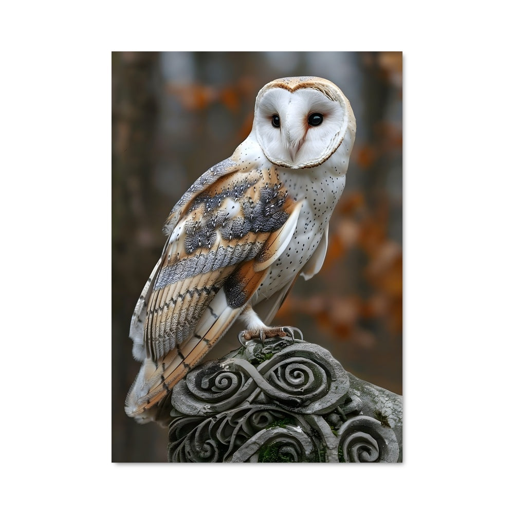 Barn Owl Poster – Aesthetic Posters