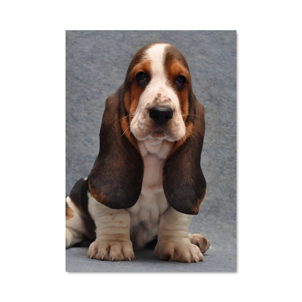 Basset Nose Poster – Aesthetic Posters
