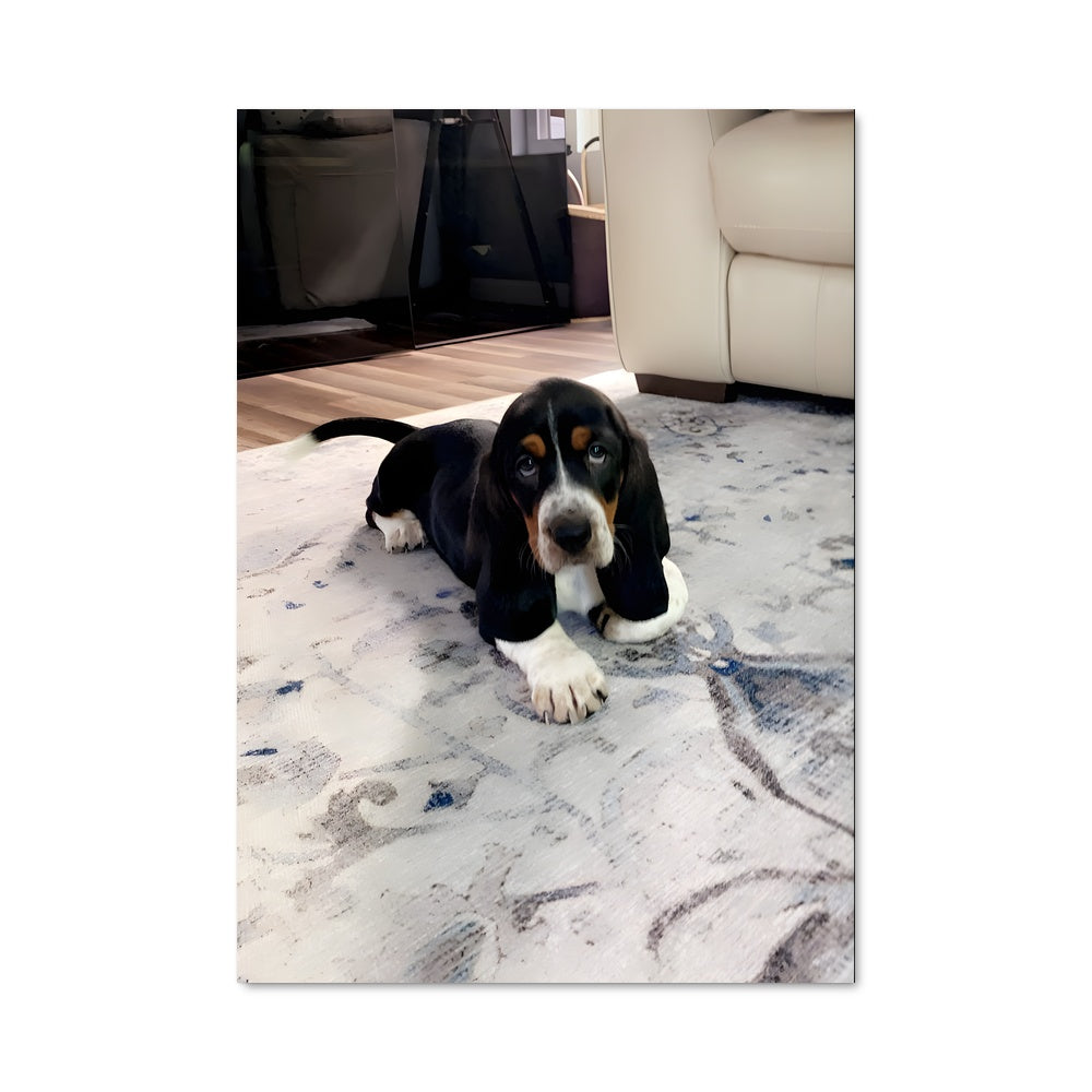 Poster Basset Relax – Aesthetic Posters