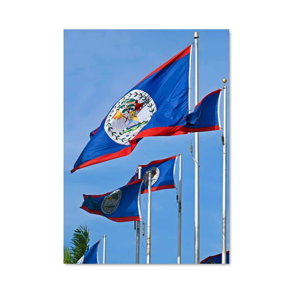 Belizean Pride Poster – Aesthetic Posters