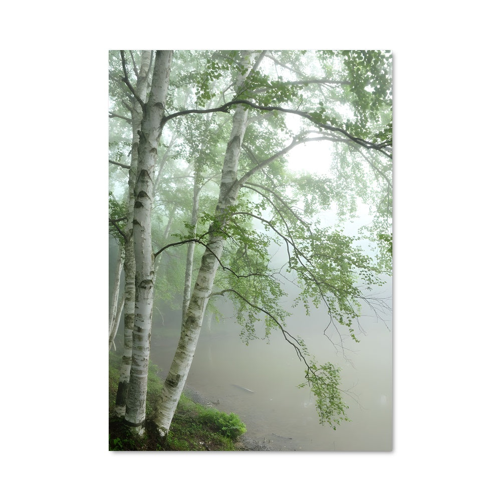 Birch Mist Poster – Aesthetic Posters