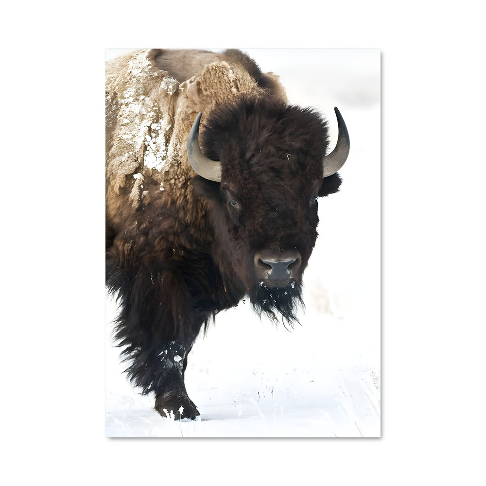 Snow Bison Poster – Aesthetic Posters