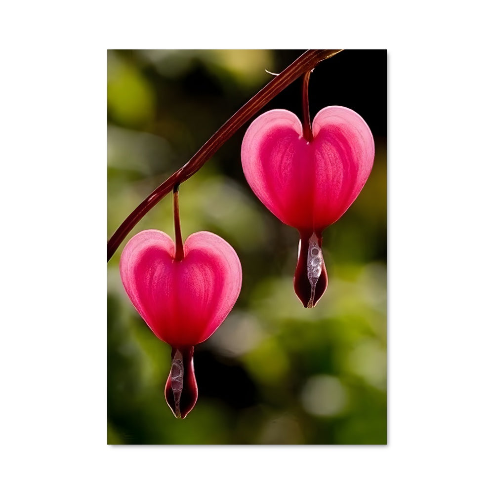 Blood Hearts Poster – Aesthetic Posters