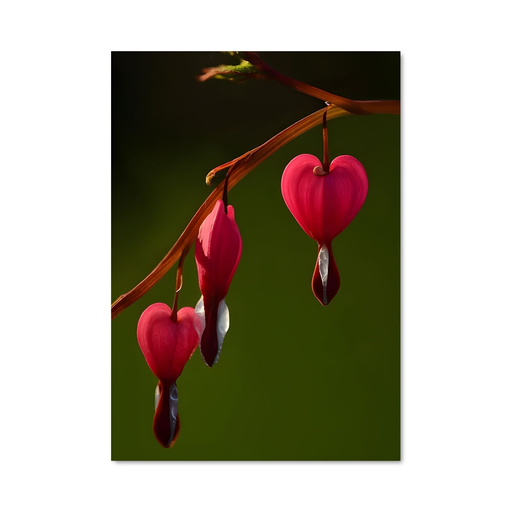 Blood Heart Poster – Aesthetic Posters