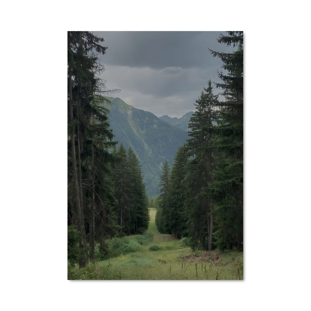 Boreal Forest Poster – Aesthetic Posters