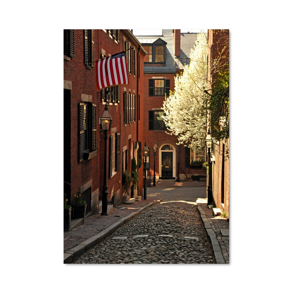 Bostonian Dream Poster – Aesthetic Posters
