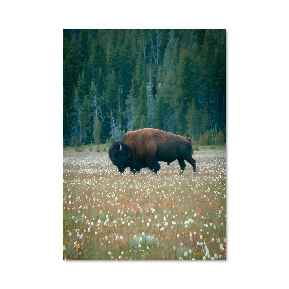 Bison with Flowers Poster – Aesthetic Posters
