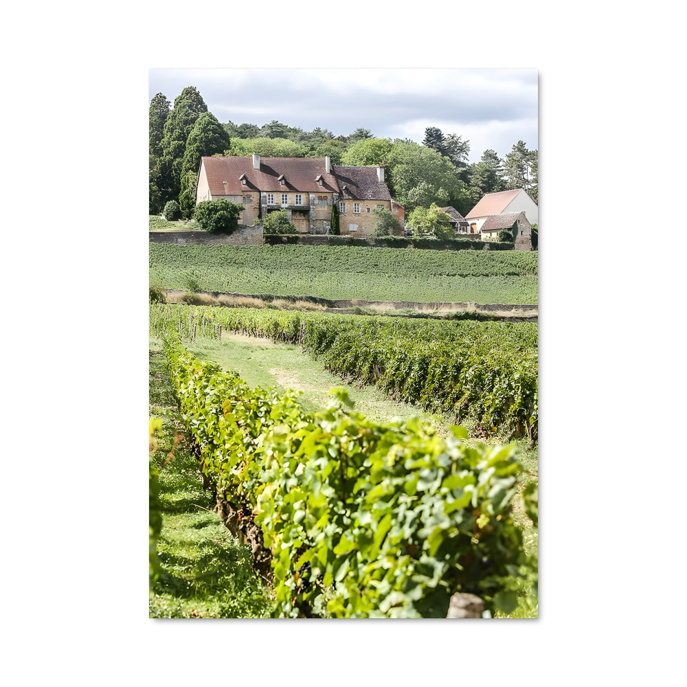 Burgundy Vineyards Poster – Aesthetic Posters