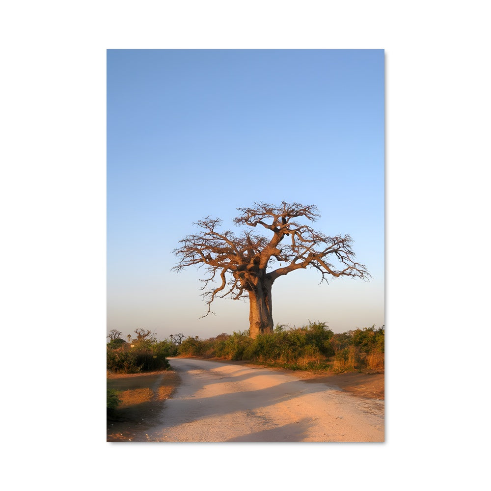 Mystical Baobab Poster – Aesthetic Posters