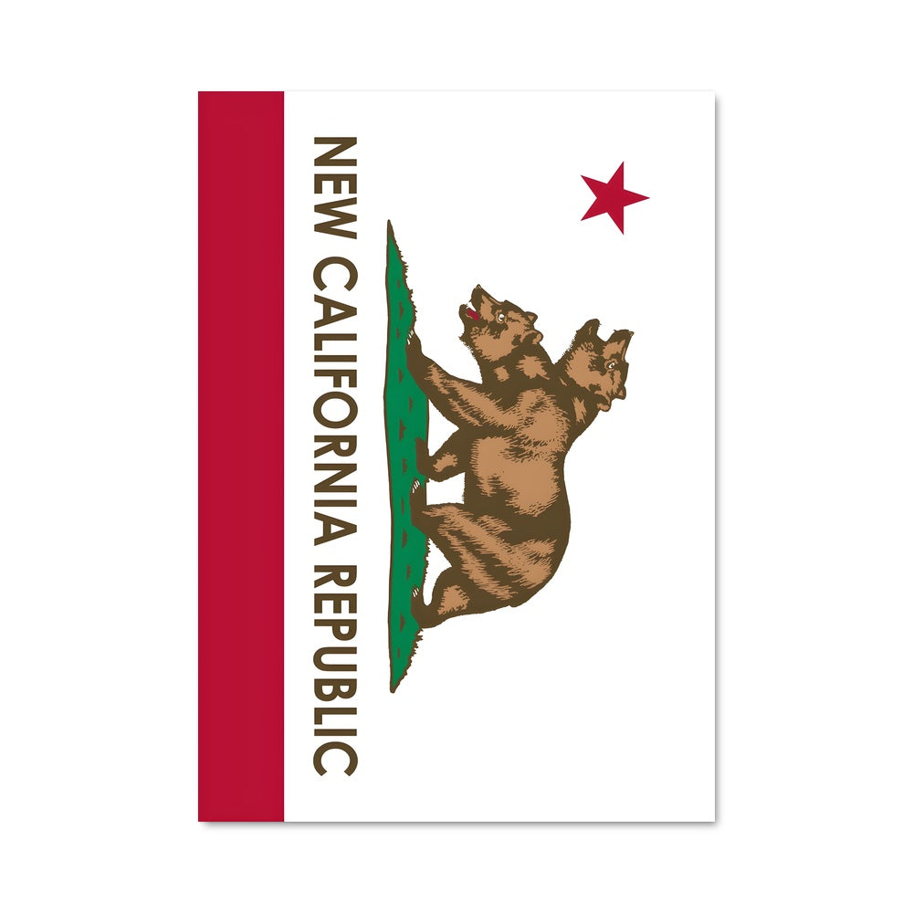 California Bear Poster – Aesthetic Posters
