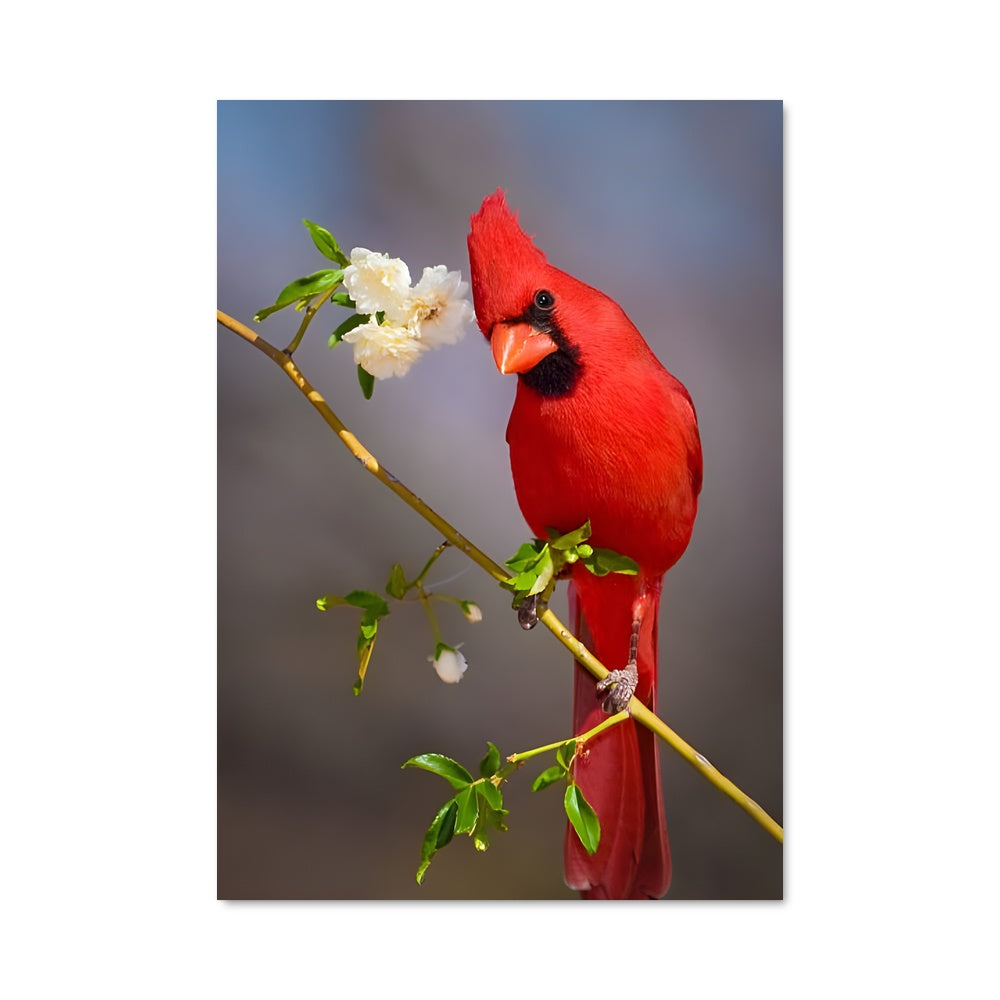 Enchanted Cardinal Poster – Aesthetic Posters