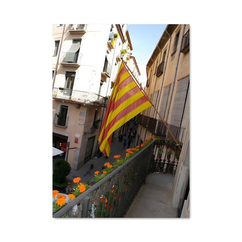 Catalan Standard Poster – Aesthetic Posters