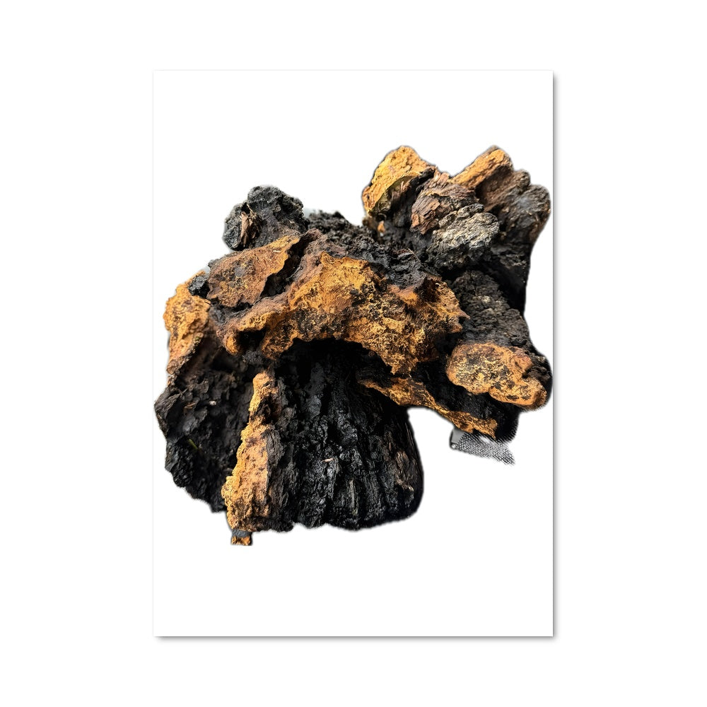 Mystical Coal Poster – Aesthetic Posters
