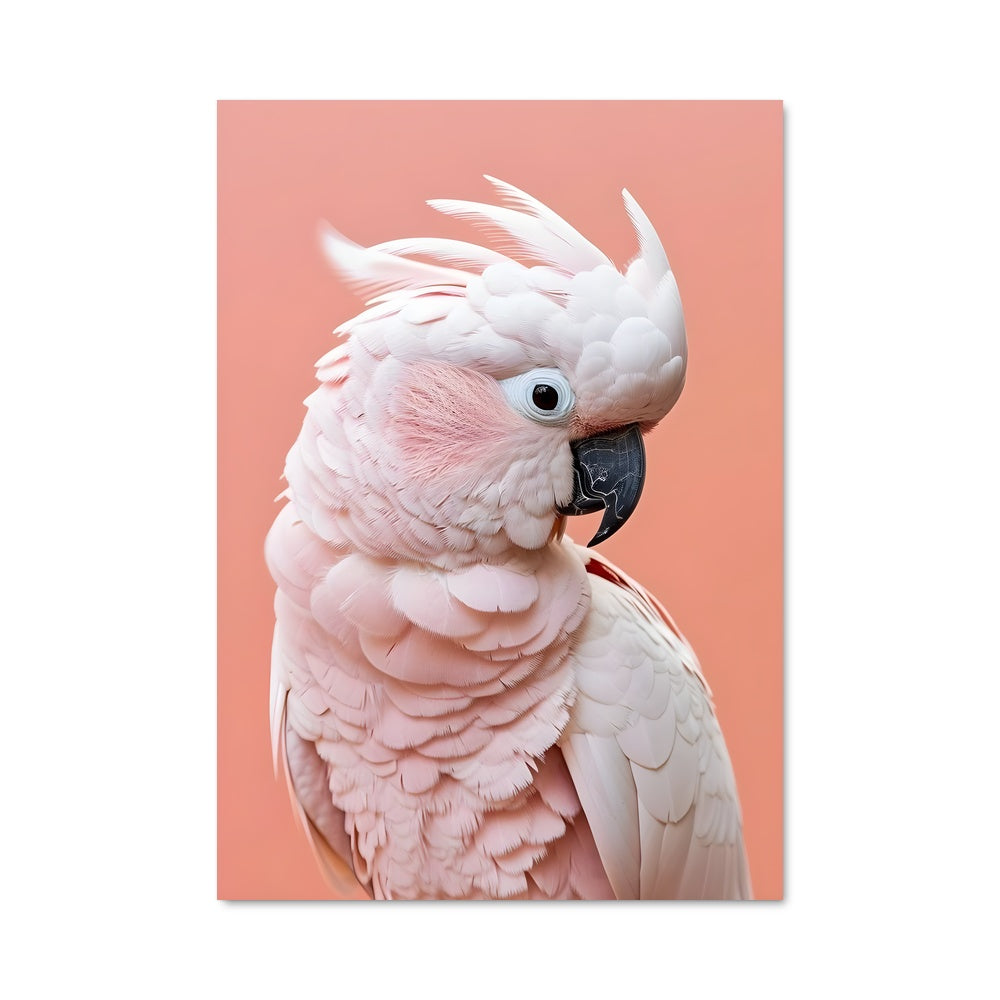 Cockatoo Glam Poster – Aesthetic Posters