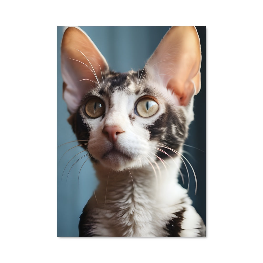 Velvet Ears Poster – Aesthetic Posters