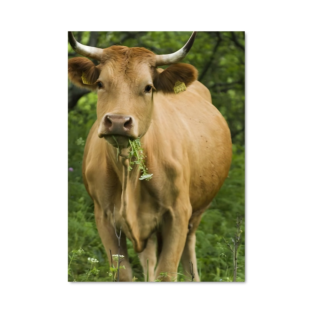 Gourmet Cow Poster – Aesthetic Posters