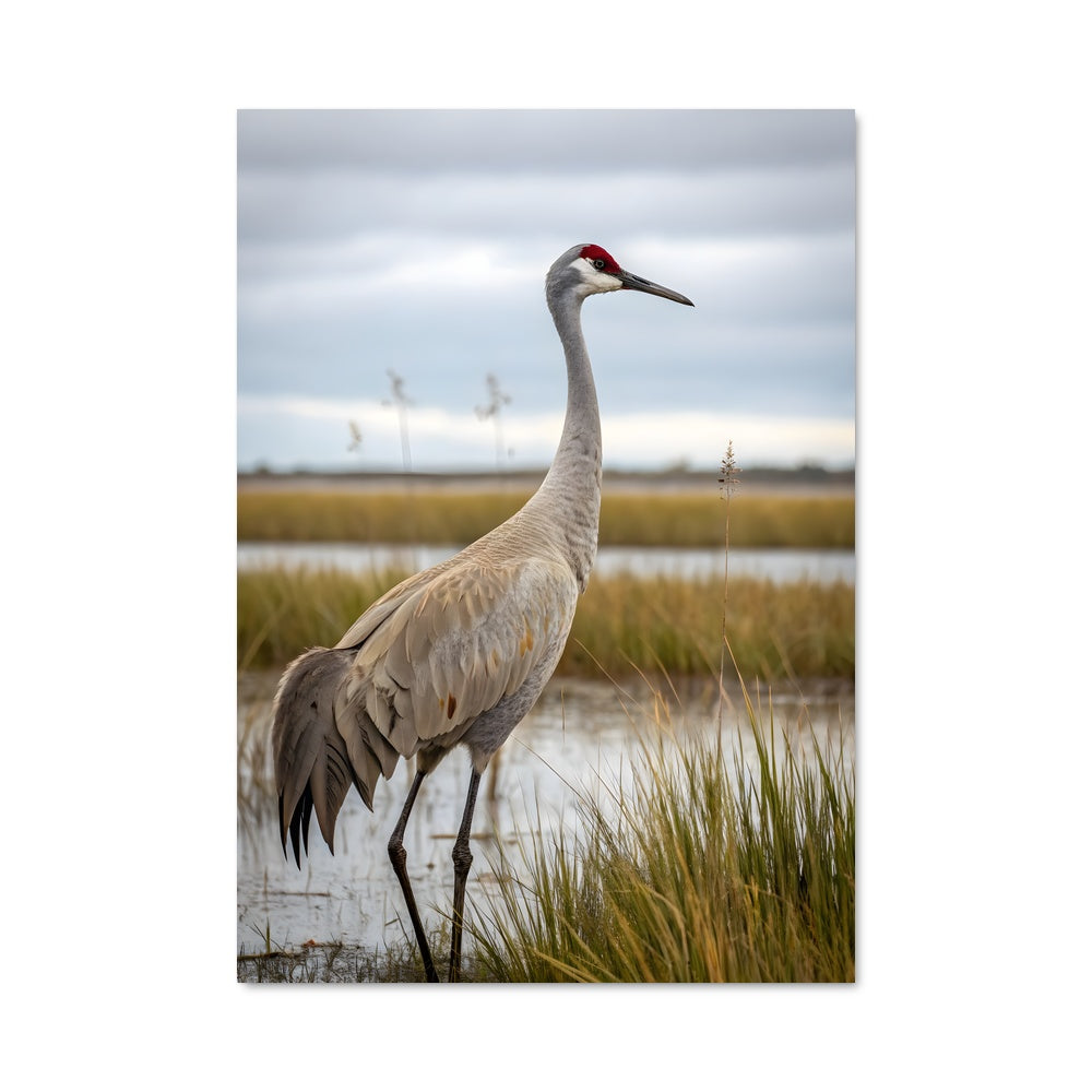 Crane Poster – Aesthetic Posters