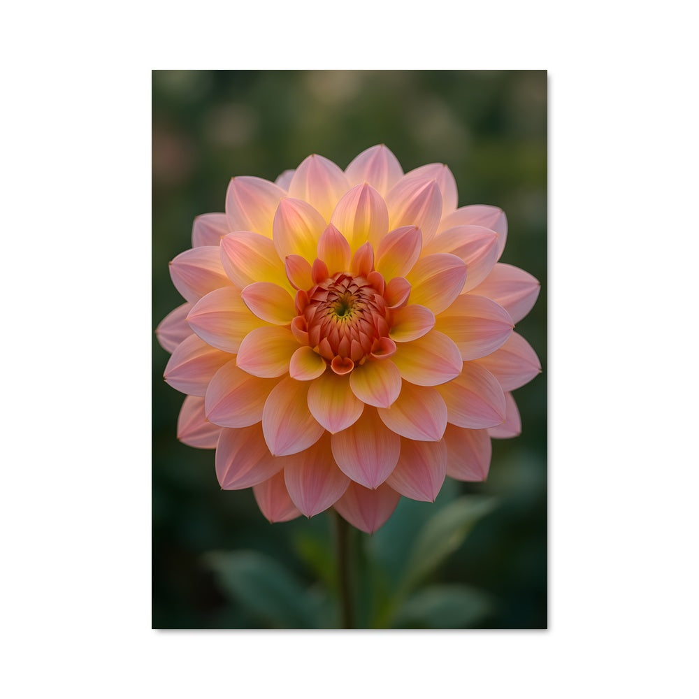 Enchanted Dahlia Poster – Aesthetic Posters