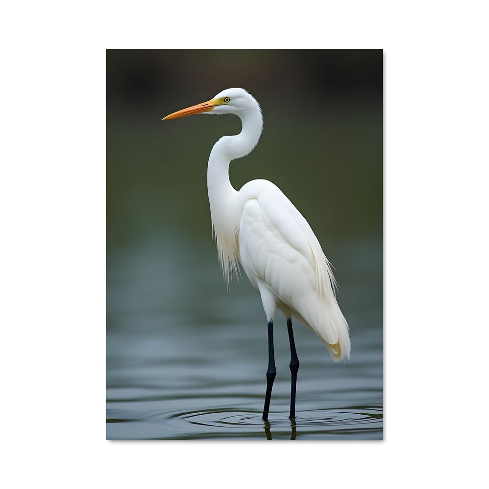 Eternal Egret Poster – Aesthetic Posters