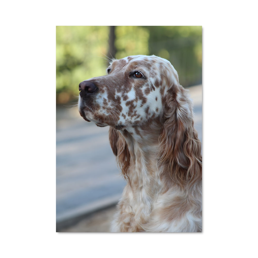 Poster Spot on English Setter – Aesthetic Posters