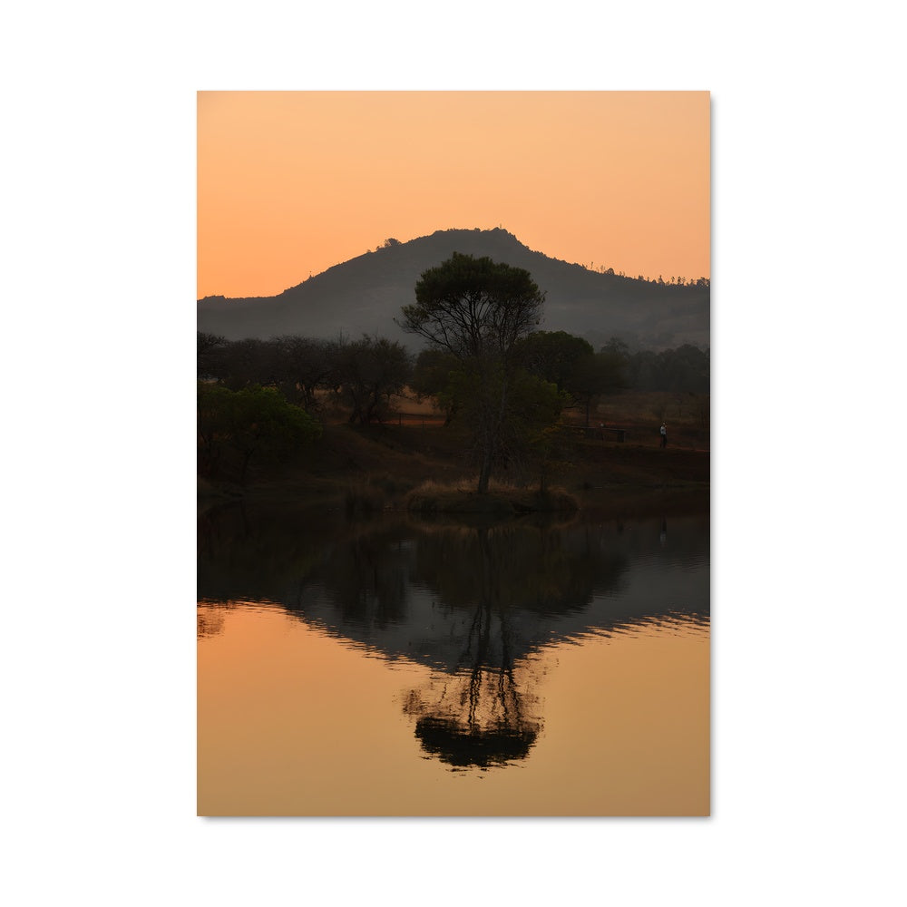 Lone Tree Poster – Aesthetic Posters